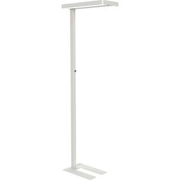 Maul LED-Leuchte Mauljuvis sensor, mit Bewegungssensor, dimmbar, RAL 9003 signalwei&szlig;