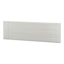 Rau Lochplatte f&uuml;r Wandmontage BxTxH 1500x15x450mm (09-L1500.12)