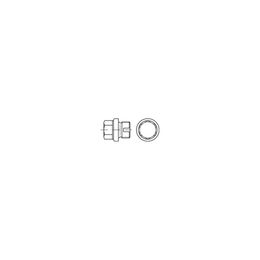 DIN 910 Verschlussschraube VG 1" Edelstahl A5 blank ASK mit Bund ; Industrial Quality Supplies (009109541000000)