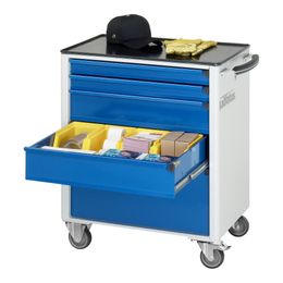 Rau Werkzeugwagen mit 5 Schubladen Metall BxTxH 700x500x860mm (02-7350.11)