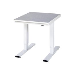 Rau Werktisch adlatus 300 elektrisch h&ouml;henverstellbar Linoleum-/Universal-Platte 750 mm x 1000 mm (08-WT-075-100-L)