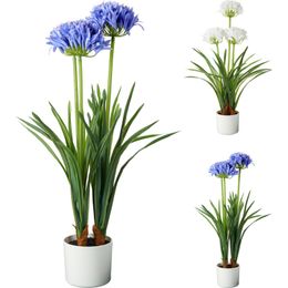 SONSTIGE Kunstpflanze AGAPANTHUS
