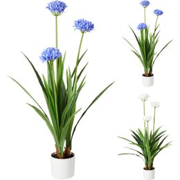 SONSTIGE Kunstpflanze AGAPANTHUS