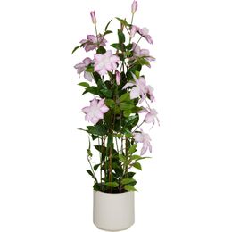 SONSTIGE Kunstpflanze CLEMATIS