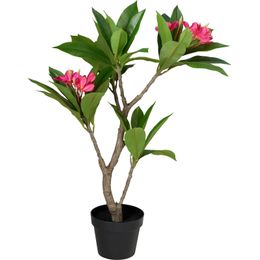 SONSTIGE Kunstpflanze FRANGIPANI