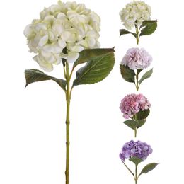 SONSTIGE Kunstblume HORTENSIA