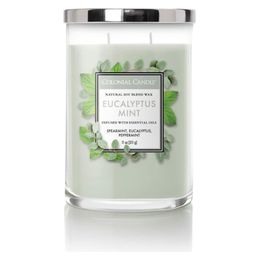 Colonial Candle Duftkerze "Eucalyptus Mint" in Gr&uuml;n - 311 g - 44% | Kerzen-vasen