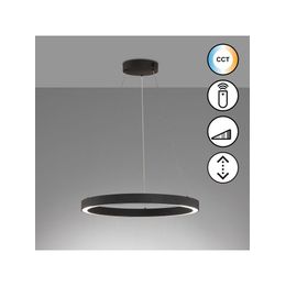 Fischer und Honsel FISCHER & HONSEL LED-Pendelleuchte "Sirko" in Schwarz x &Oslash; 60 cm - 55% | Haengeleuchten-deckenleuchten