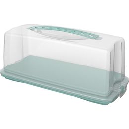 Rotho Kuchentransportbox Fresh, Kunststoff, rechteckig, 36x16.5x16.5 cm, lebensmittelecht, Backen, Kuchentransportboxen