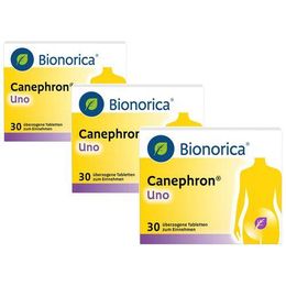 Canephron Uno &uuml;berzogene Tabletten 3x30 St