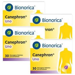 Canephron Uno &uuml;berzogene Tabletten 4x30 St