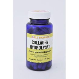 Hecht-Pharma Collagen Hydrolysat 280 mg Gph Kapseln 90 St
