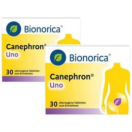 Canephron Uno &uuml;berzogene Tabletten Doppelpackung 2x30 St