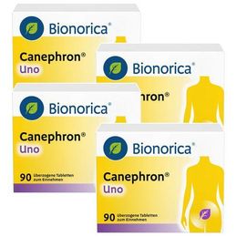Canephron Uno &uuml;berzogene Tabletten 4x90 St