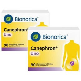 Canephron Uno &uuml;berzogene Tabletten Doppelpackung 2x90 St