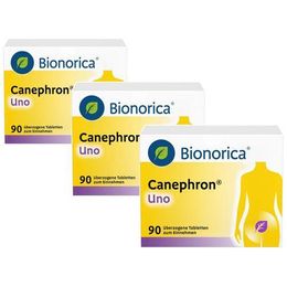 Canephron Uno &uuml;berzogene Tabletten 3x90 St