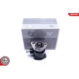 ESEN SKV Unterdruckpumpe, Bremsanlage 18SKV058 f&uuml;r ALFA ROMEO FIAT LANCIA INNOCENTI 7630492 7672722 60809941