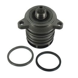 SKF Wasserpumpe vkpc81420 f&uuml;r VW