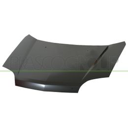 PRASCO Motorhaube ds8303100 f&uuml;r NISSAN