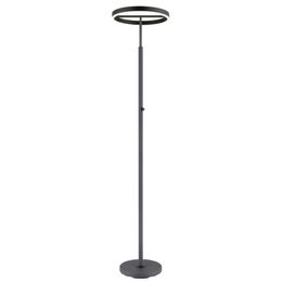 Globo lighting Deckenfluter "EMANUEL" in anthracite | Gr.: onesize