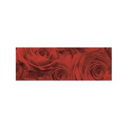 Buntpapierfabrik Ludwig B&auml;hr Transparentpapier 115g/qm A4 Packung mit 25 Blatt Rosen rot | Gr.: onesize