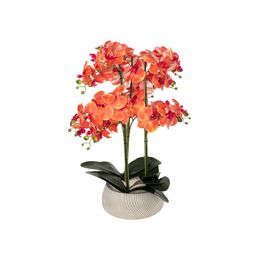 Atmosphera Cr&eacute;ateur d'int&eacute;rieur K&uuml;nstliche Orchidee in mehrfarben | Gr.: onesize