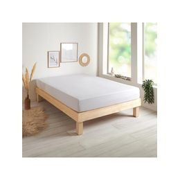 Traumschlaf Spannbettlaken Single Jersey in weiss | Gr.: 70 x 140 cm