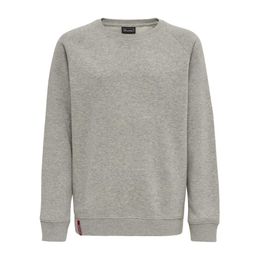 Hummel Sweatshirt Raglan&auml;rmel Hmlred Kinder in GREY MELANGE | Gr.: 140