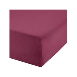 Erwin M&uuml;ller Erwin M&uuml;ller Single-Jersey Boxspringbett-Spannbettlaken Freising in aubergine | Gr.: 90x190 cm - 100x220 cm
