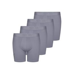 Sloggi Long Short / Pant SLG Base Soft in Morandi grey | Gr.: XXL