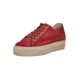 Paul Green Sneaker in Wine | Gr.: 38,5