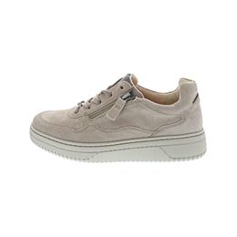 Gabor Comfort Sneaker Beige | Gr.: 39