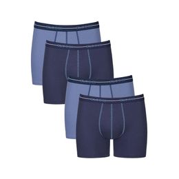 Sloggi Retro Pants Start Short in MULTIPLE COLOURS 1 | Gr.: 5