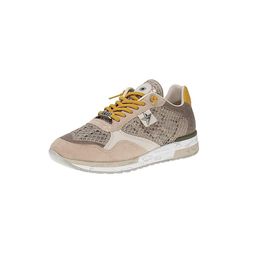 CETTI Sneaker low C-848 V26 XL in Mehrfarbig | Gr.: 44