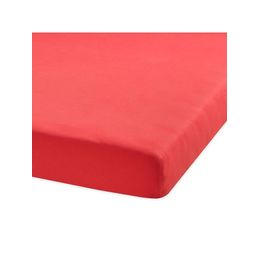 BettwarenShop Spannbettlaken Multi-Stretch in rot | Gr.: 240 x 240 cm
