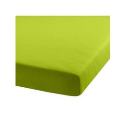 BettwarenShop Spannbettlaken Multi-Stretch in apfelgr&uuml;n | Gr.: 240 x 240 cm