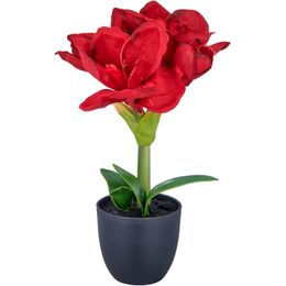Kunstblume Creativ green "Amaryllis", rot, H:35cm, Polyester, Kunstpflanzen, mit traumhaft sch&ouml;ner Bl&uuml;te