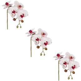 Kunstblume Creativ green "Phalaenopsis 3D-print", rosa, H:42cm, Obermaterial: 85% Polyester, 15% Polyethylen, Kunstpflanzen, mit Real-Touch-Bl&uuml;ten