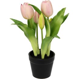 Kunstblume I.GE.A. "Tulpen", rosa, B:20cm H:22cm L:20cm, Polyester, Kunstpflanzen, Real-Touch Bl&uuml;ten Tulpe Tulpenstrau&szlig; Latex Kunsttulpe Einzelblumen