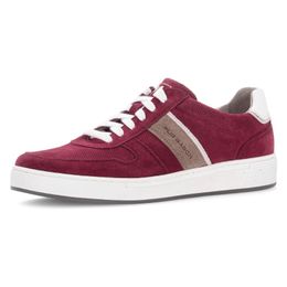 Sneaker Pius Gabor, Herren, Gr. 10 (44,5), rot (dunkelrot kombiniert), Veloursleder, Schuhe Sneaker, Freizeitschuh, Halbschuh, Schn&uuml;rer mit Kontrastbes&auml;tze, Weite G