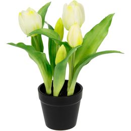 Kunstblume I.GE.A. "Tulpen", beige (creme), B:20cm H:22cm L:20cm, Polyester, Kunstpflanzen, Real-Touch Bl&uuml;ten Tulpe Tulpenstrau&szlig; Latex Kunsttulpe Einzelblumen