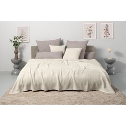 Tagesdecke OTTO HOME "Greta", creme, B:230cm L:250cm, Obermaterial: 100% Baumwolle, Tagesdecken, in Waffelpiqu&eacute; Optik, viele Farben erh&auml;ltlich, Decke ab 140 x 200 cm