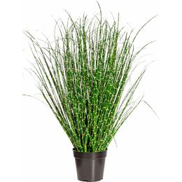 Kunstgras Creativ green "Miscanthus Zebrinus", gr&uuml;n, H:80cm, Kunststoff, Kunstpflanzen