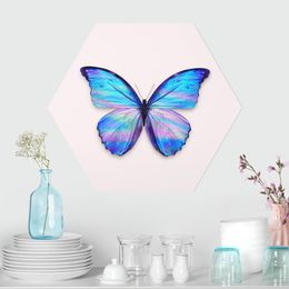 Bilderwelten Hexagon-Wandbild - Holografischer Schmetterling Forex-Bild Kunstdruck Blumen, Schmetterlinge Wohnzimmer Schlafzimmer