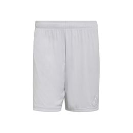 adidas Performance Workout Pants 'ENT26' male Grey size L