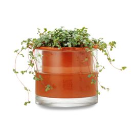 Wet Pot Systems Pflanzgef&auml;&szlig;