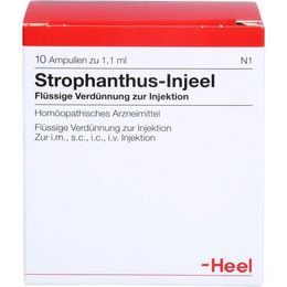 Heel Strophanthus Injeel Ampullen 10 St