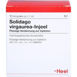 Heel Solidago Virgaurea Injeel Ampullen 10 St