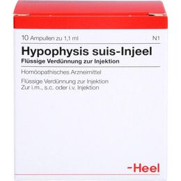 Heel Hypophysis Suis Injeel Ampullen 10 St