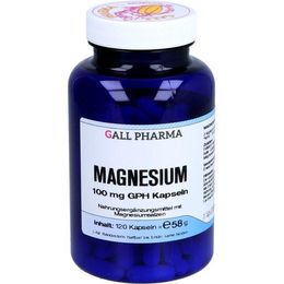 Hecht-Pharma Magnesium 100 mg Gph Kapseln 120 St